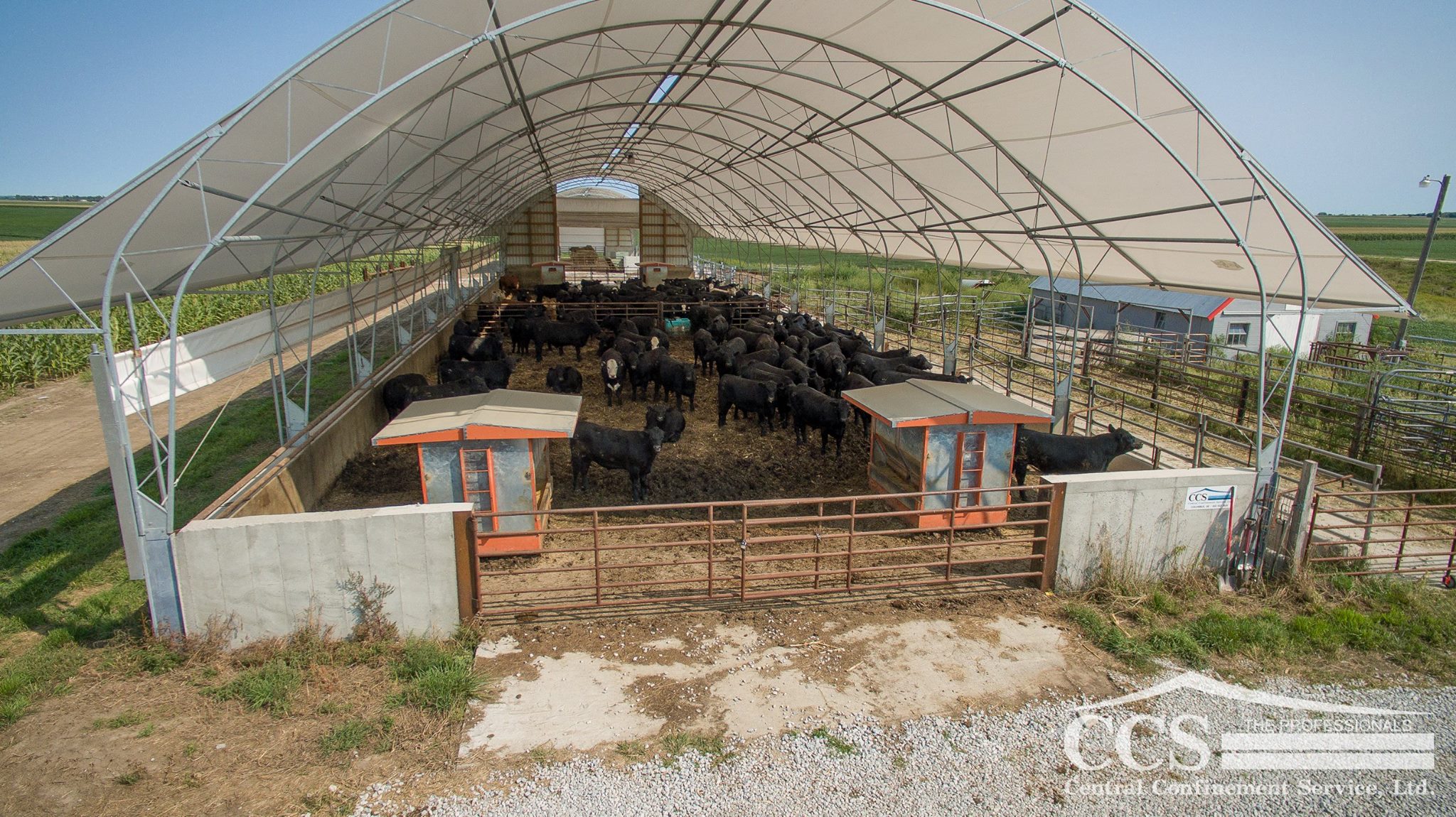 Beef Grow/Finish Operation - Central Confinement Service LLC