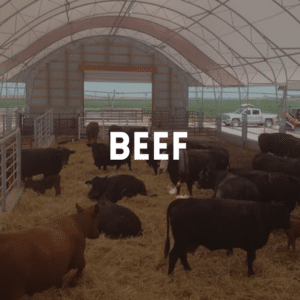 Home - Central Confinement Service LLC