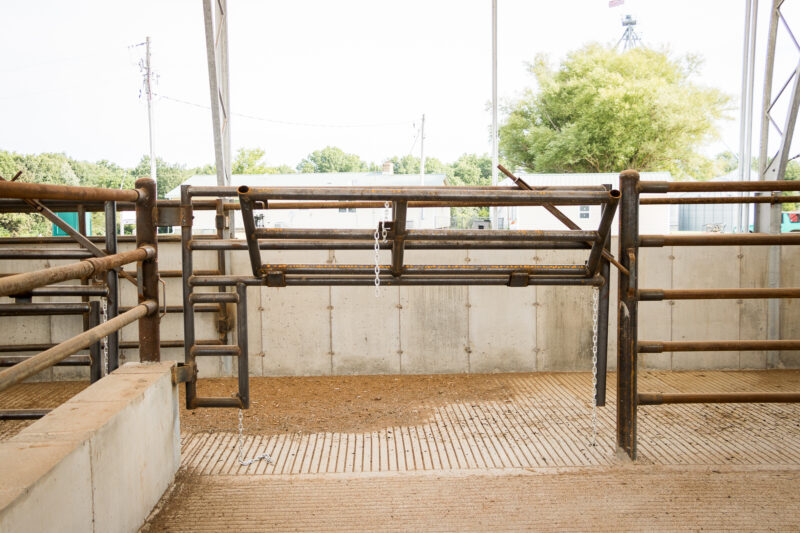 Accu-Steel Bed-Pack Cattle Barn - 50' x 368' - Central Confinement ...