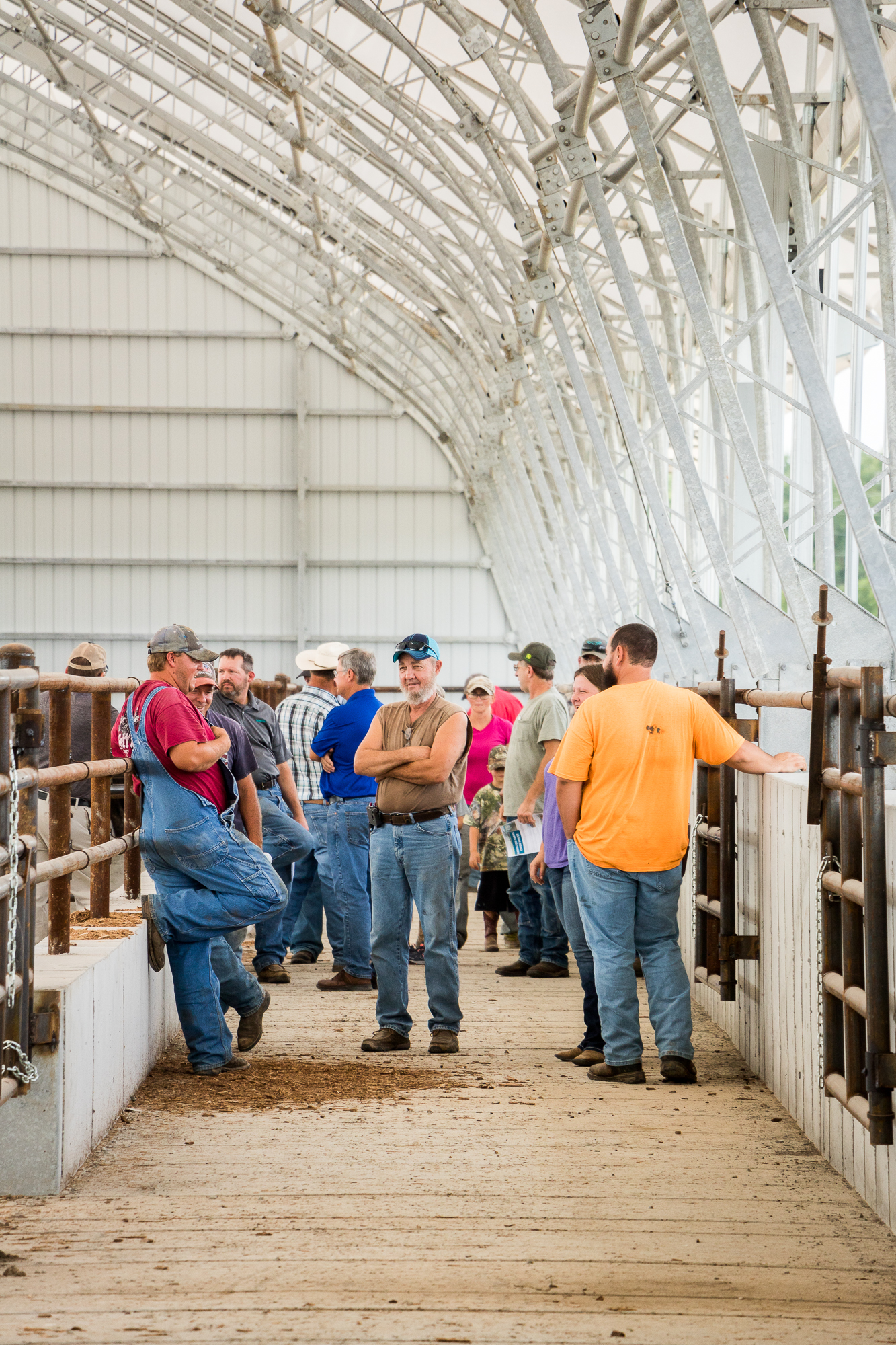 Accu-Steel Bed-Pack Cattle Barn - 50' x 368' - Central Confinement ...