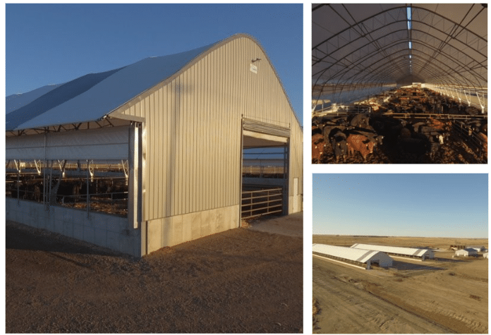 What's the Best Building for Cattle Confinement? Your Guide to ...